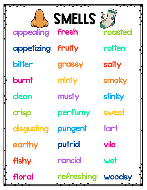 Ready Yeti Writing Bundle - EdZonePub